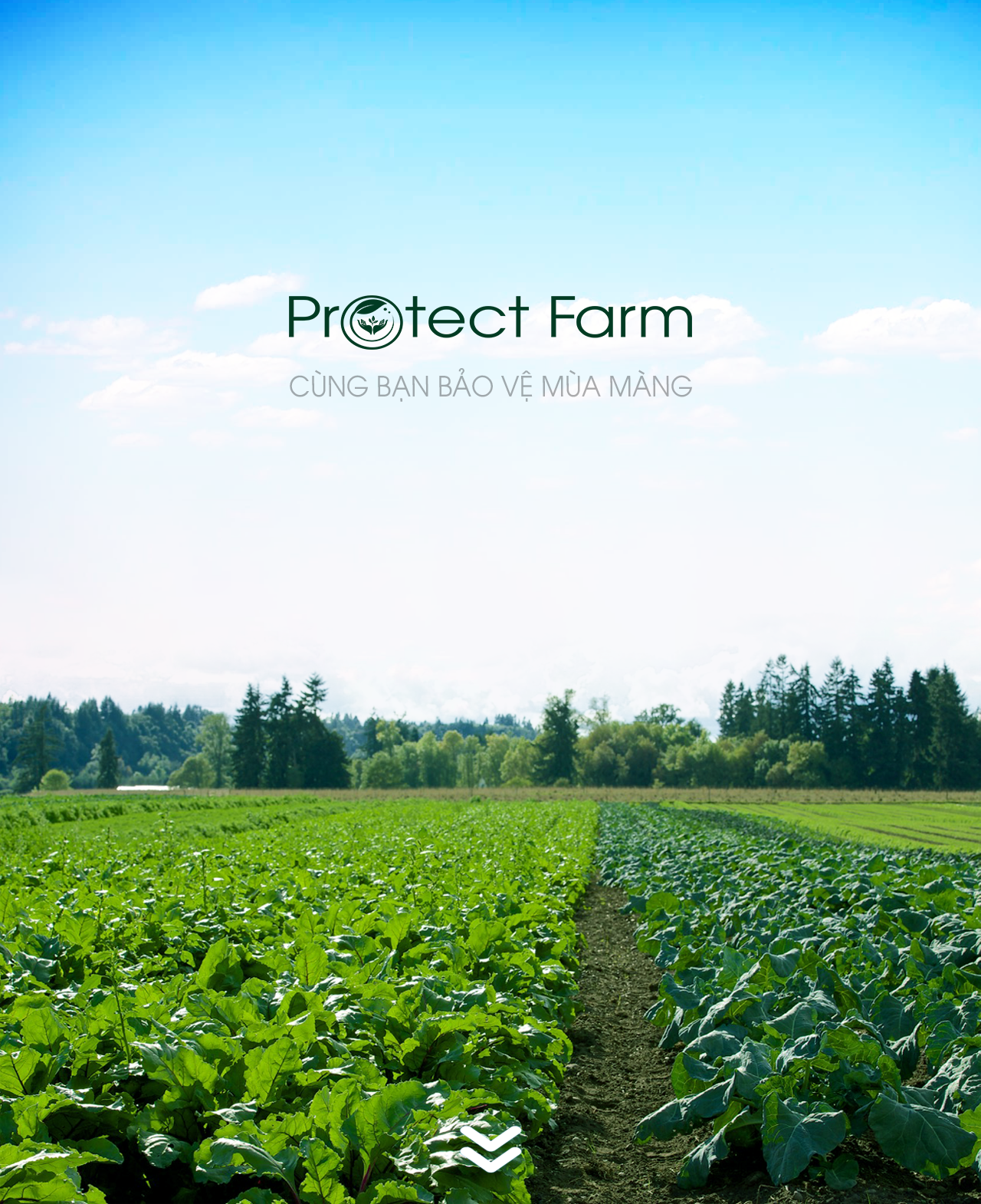 Siêu thị bảo vệ thực vật Protect Farm